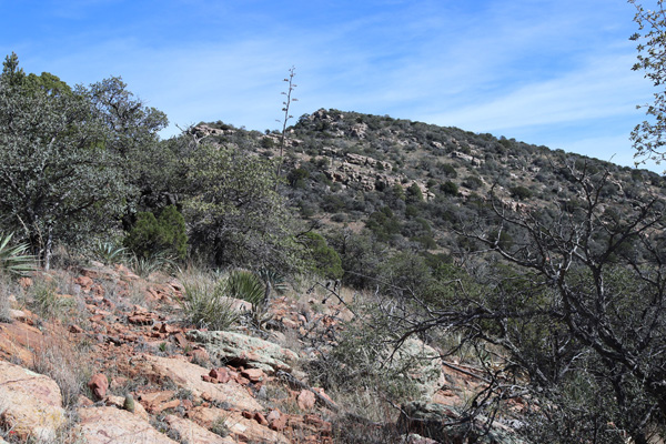 El Capitan Mountain, Arizona, November 2018– GlassMountains Trip Reports